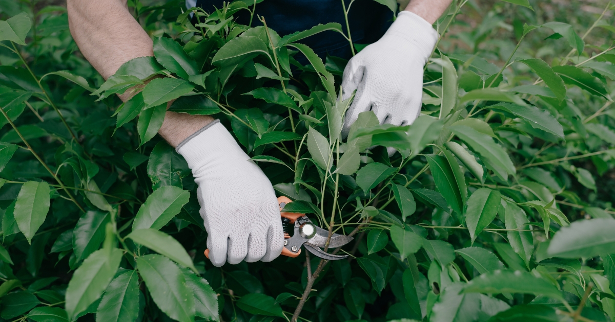 9 Tips to Keep Your Home Running Smooth This Summer